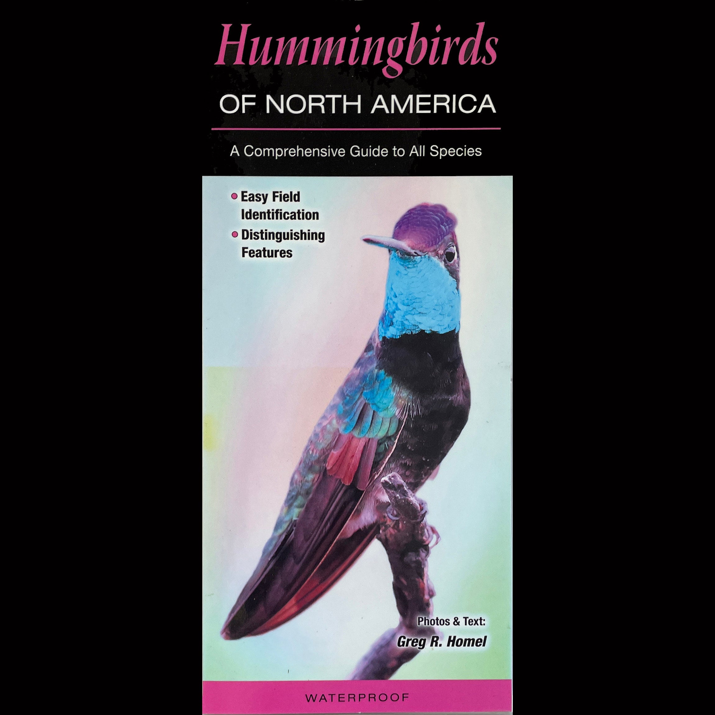 Field Guides - Hummingbirds | HARDY CALIFORNIANS