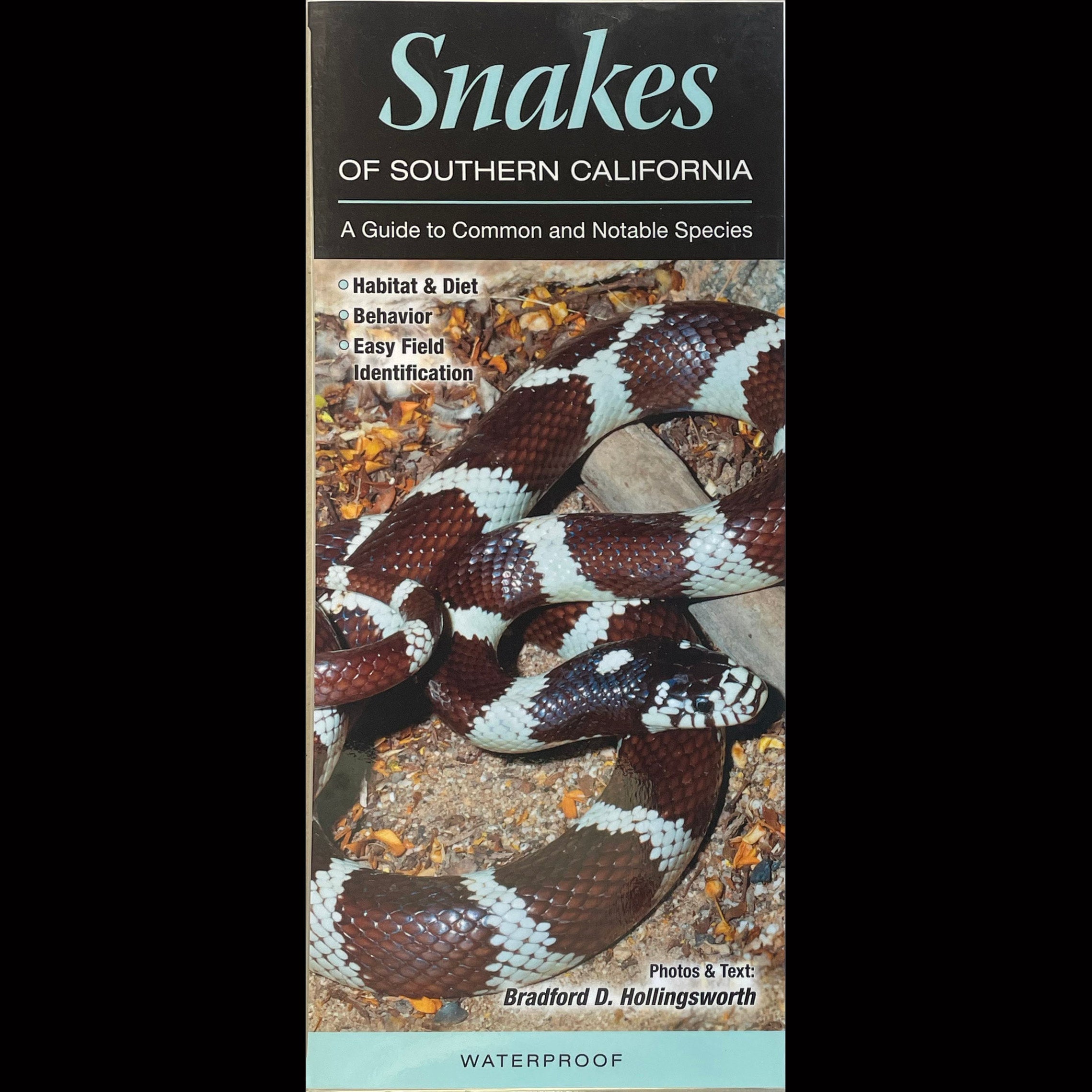 Field Guides - Snakes | HARDY CALIFORNIANS