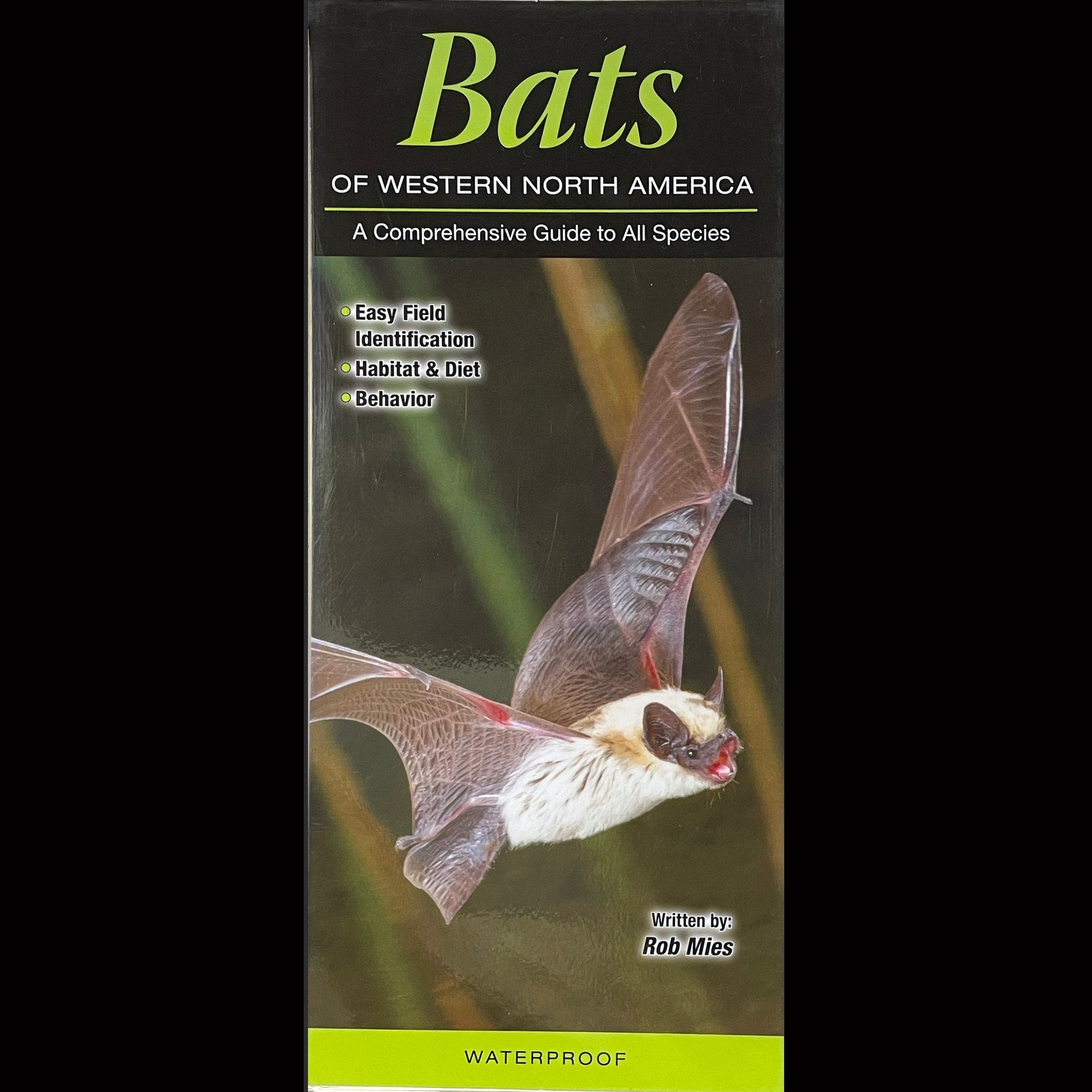 Field Guides - Bats | HARDY CALIFORNIANS