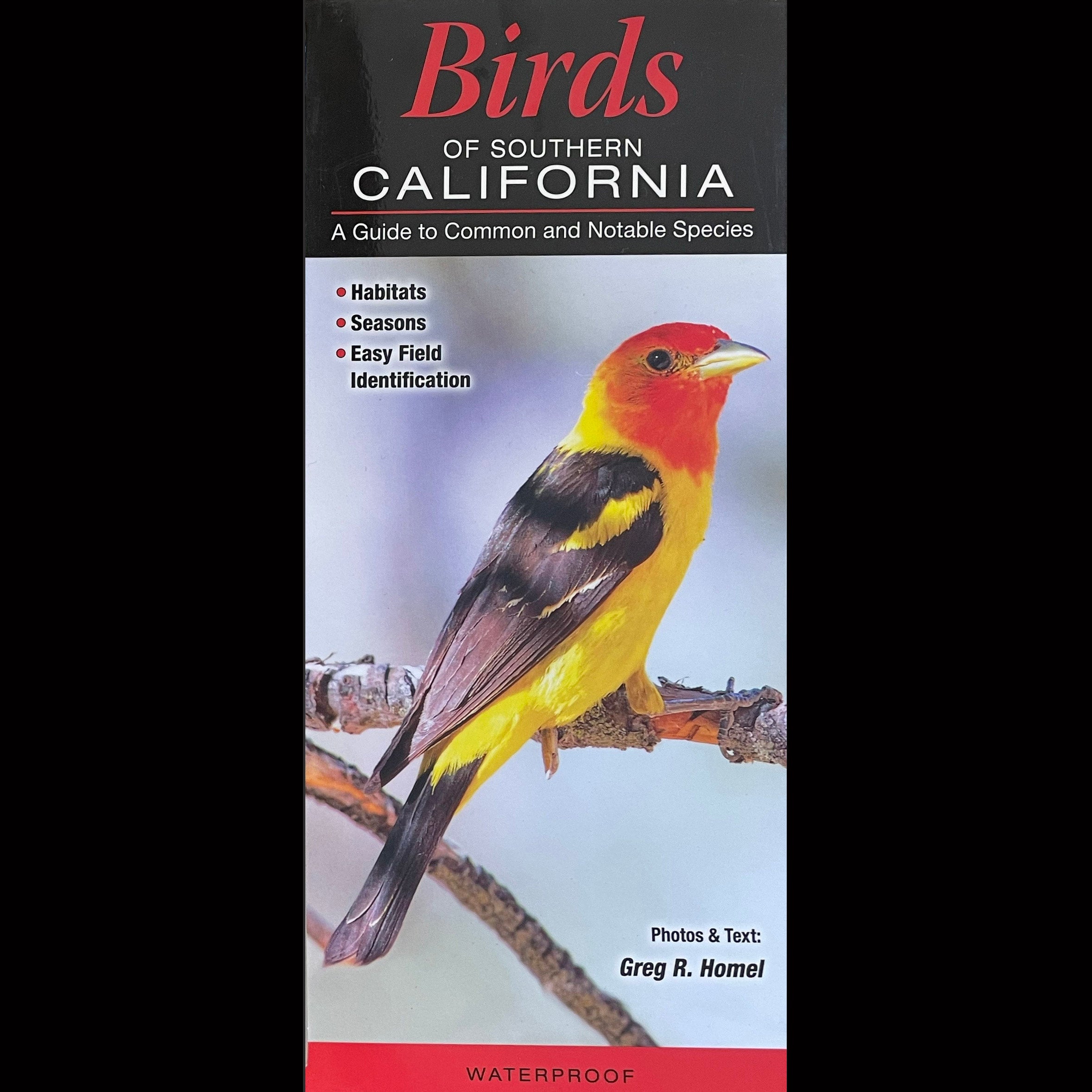 Field Guides - Birds | HARDY CALIFORNIANS